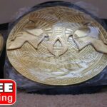 WWE TAG TEAM Brass Championship Belt - Ultra Power Wrestling Belts